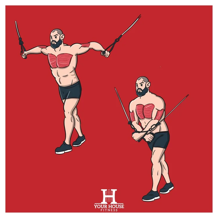 Tutorial De Ejercicio: Crossover Polea Alta