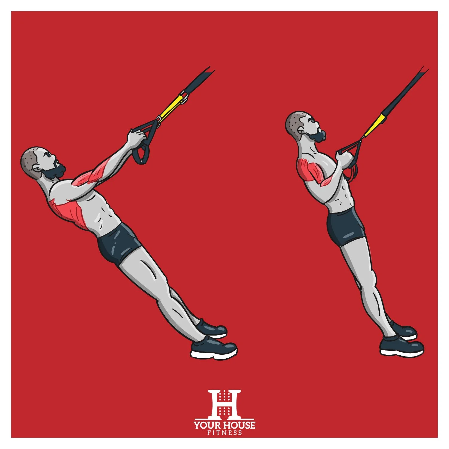 Tutorial de Ejercicio: Remo TRX