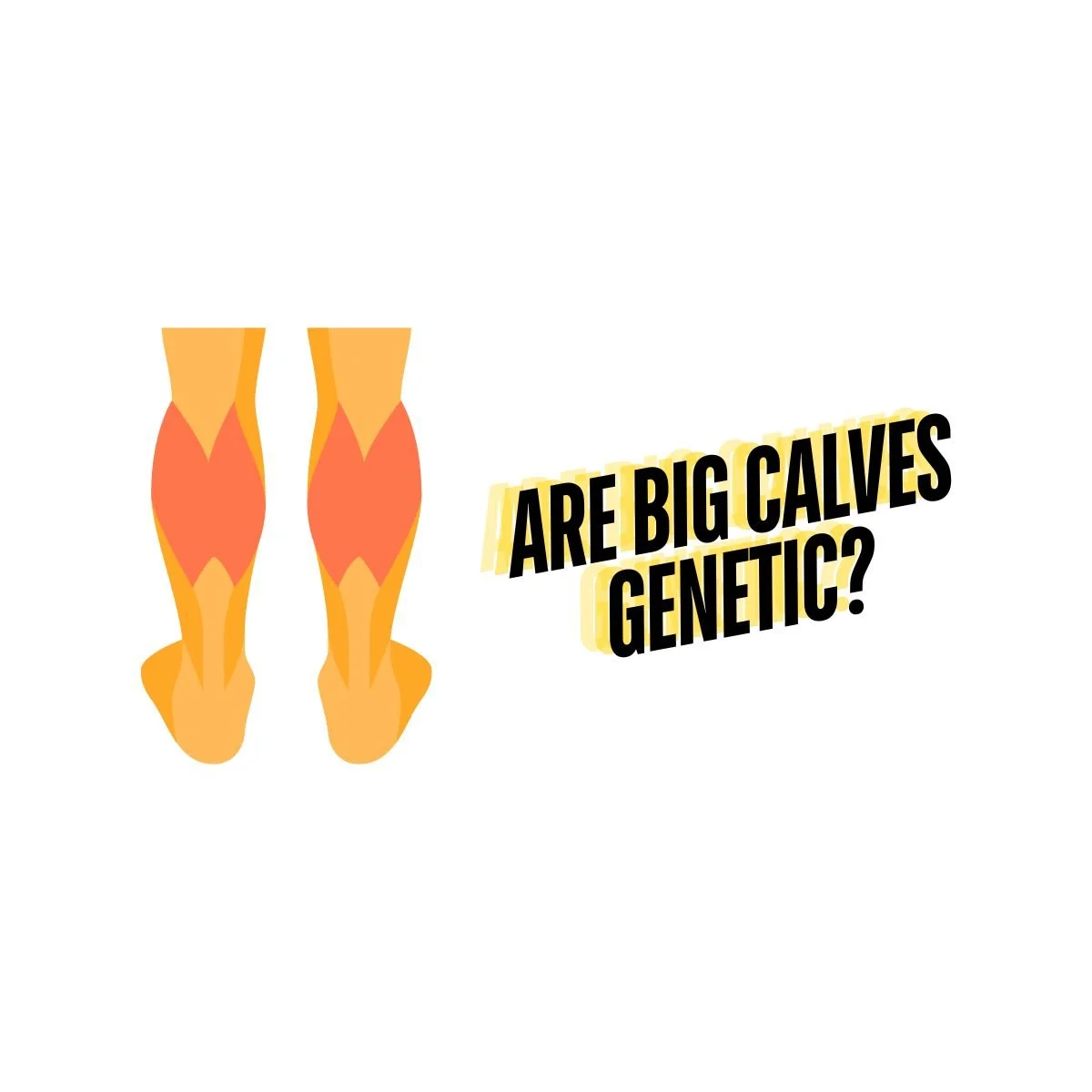 Are Big Calves Genetic? Understanding the Role of Genetics in Calf Size