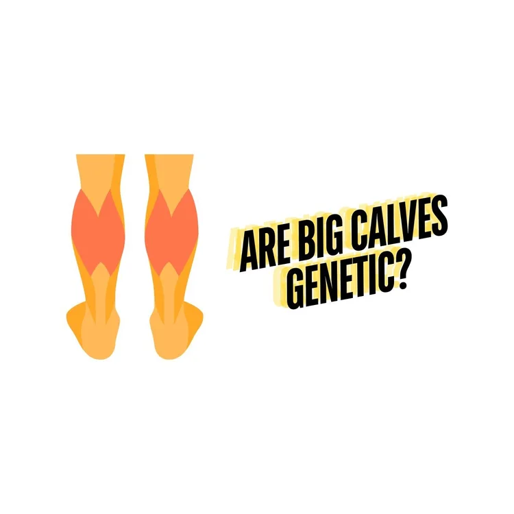 Are Big Calves Genetic? Understanding the Role of Genetics in Calf Size