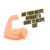 Are Your Biceps Average? A Guide to Biceps Size