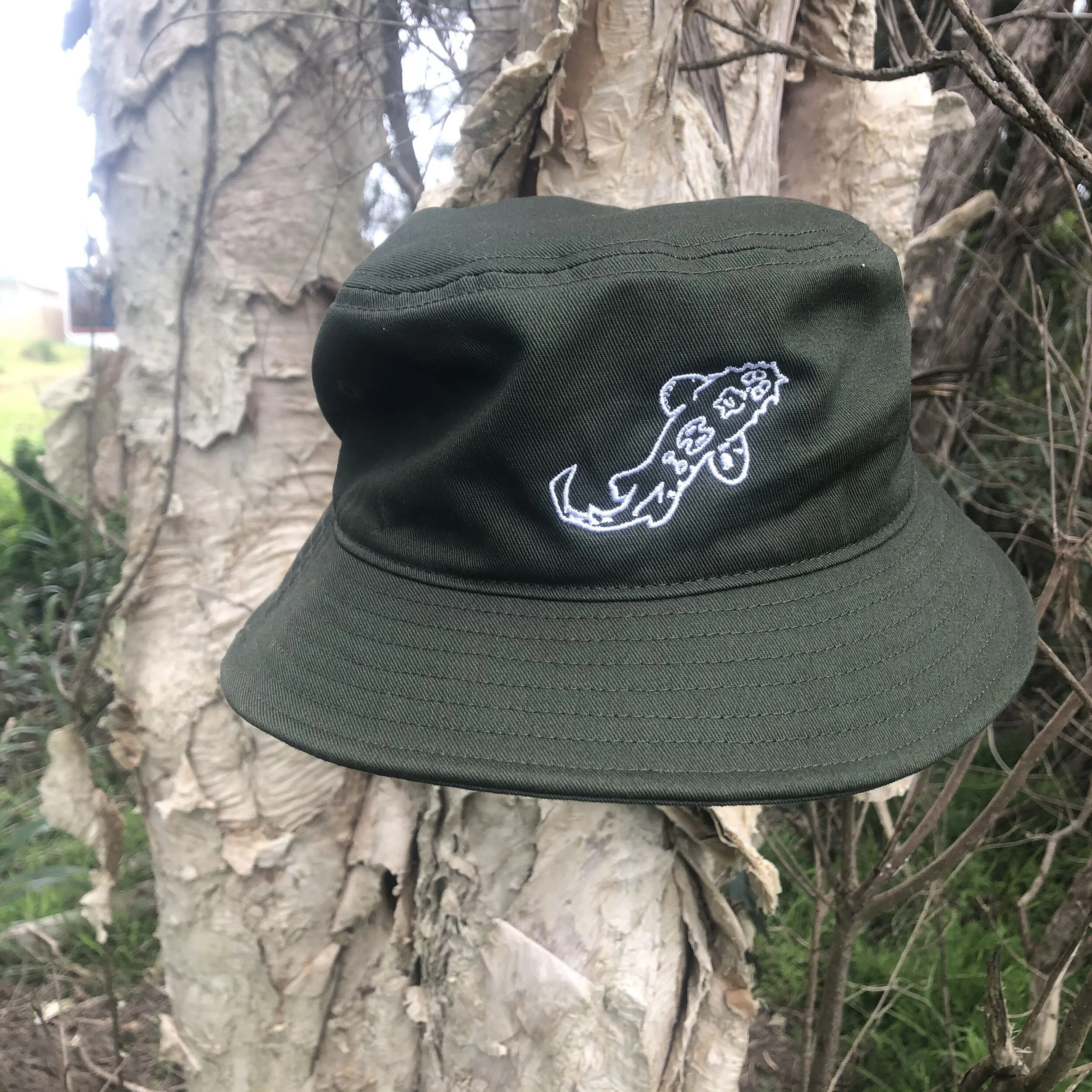 WOEBEGONE Dive & Snorkel Experience Jervis Bay