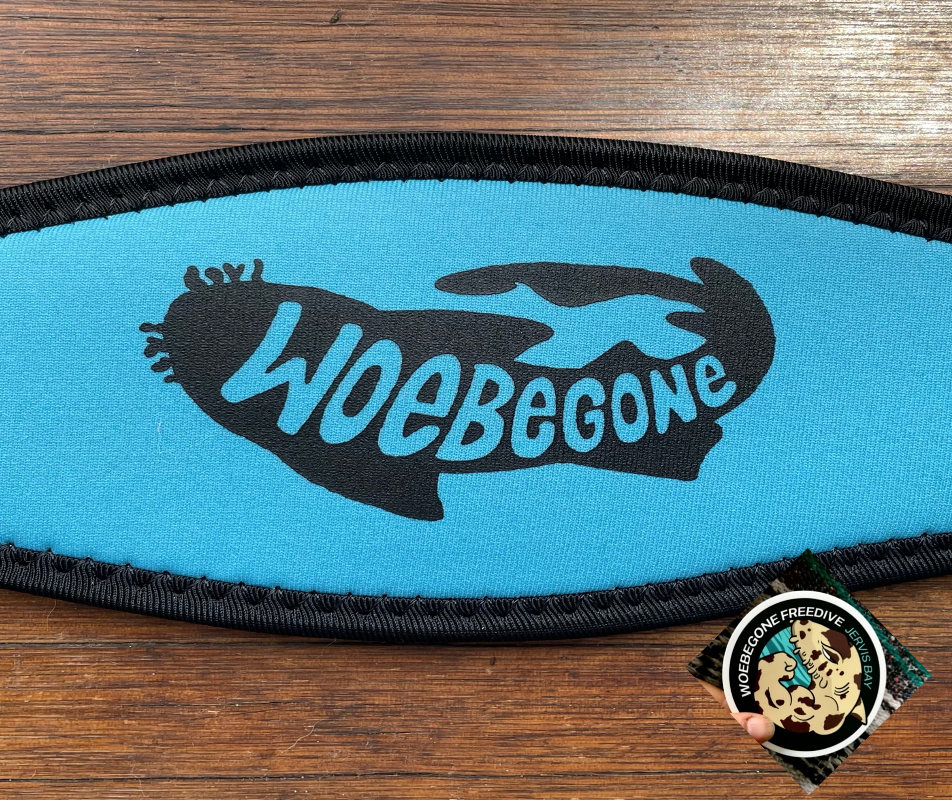 WOEBEGONE Dive & Snorkel Experience Jervis Bay