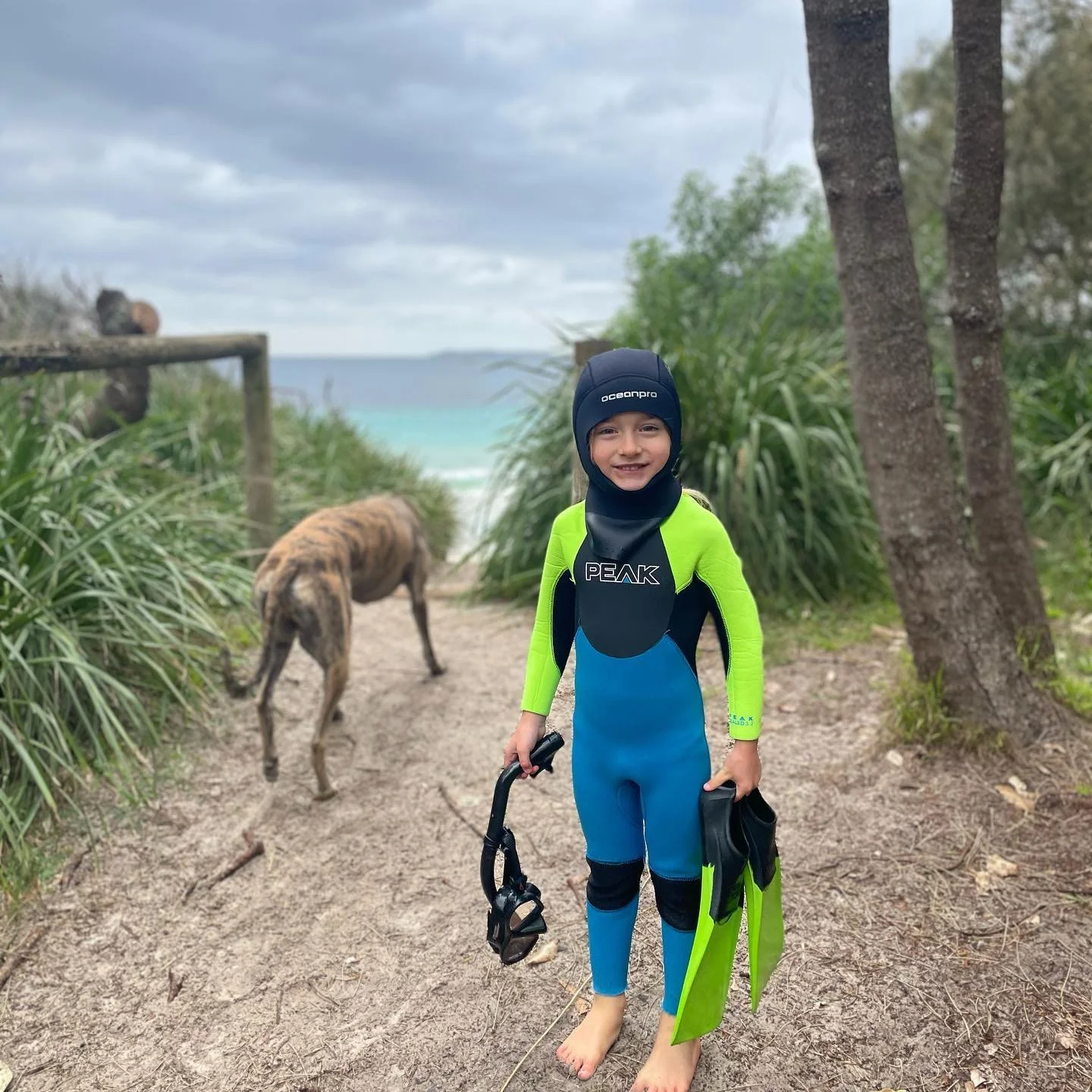 WOEBEGONE Dive & Snorkel Experience Jervis Bay
