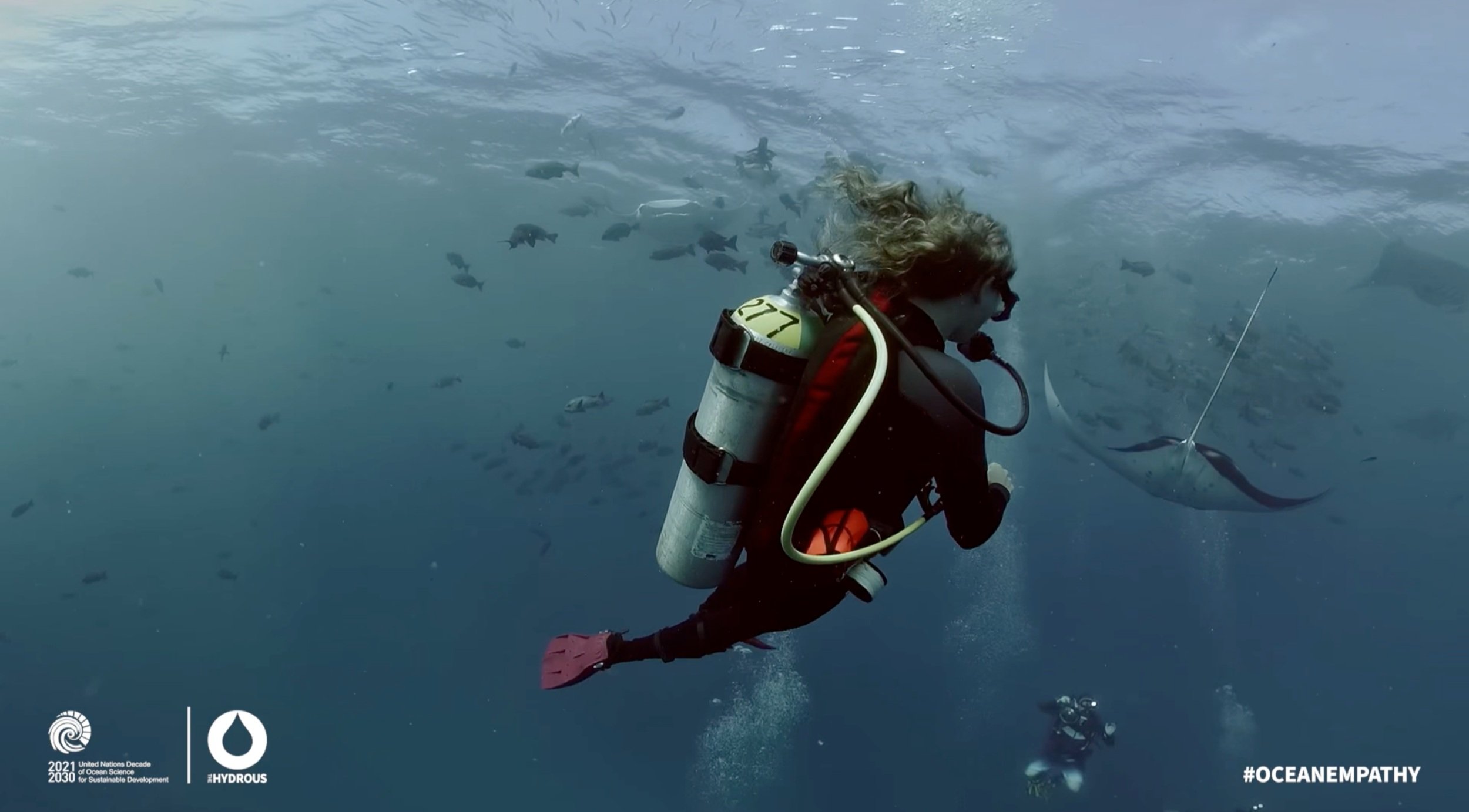 Meridian Treehouse Wins Webby Award — Meridian Treehouse