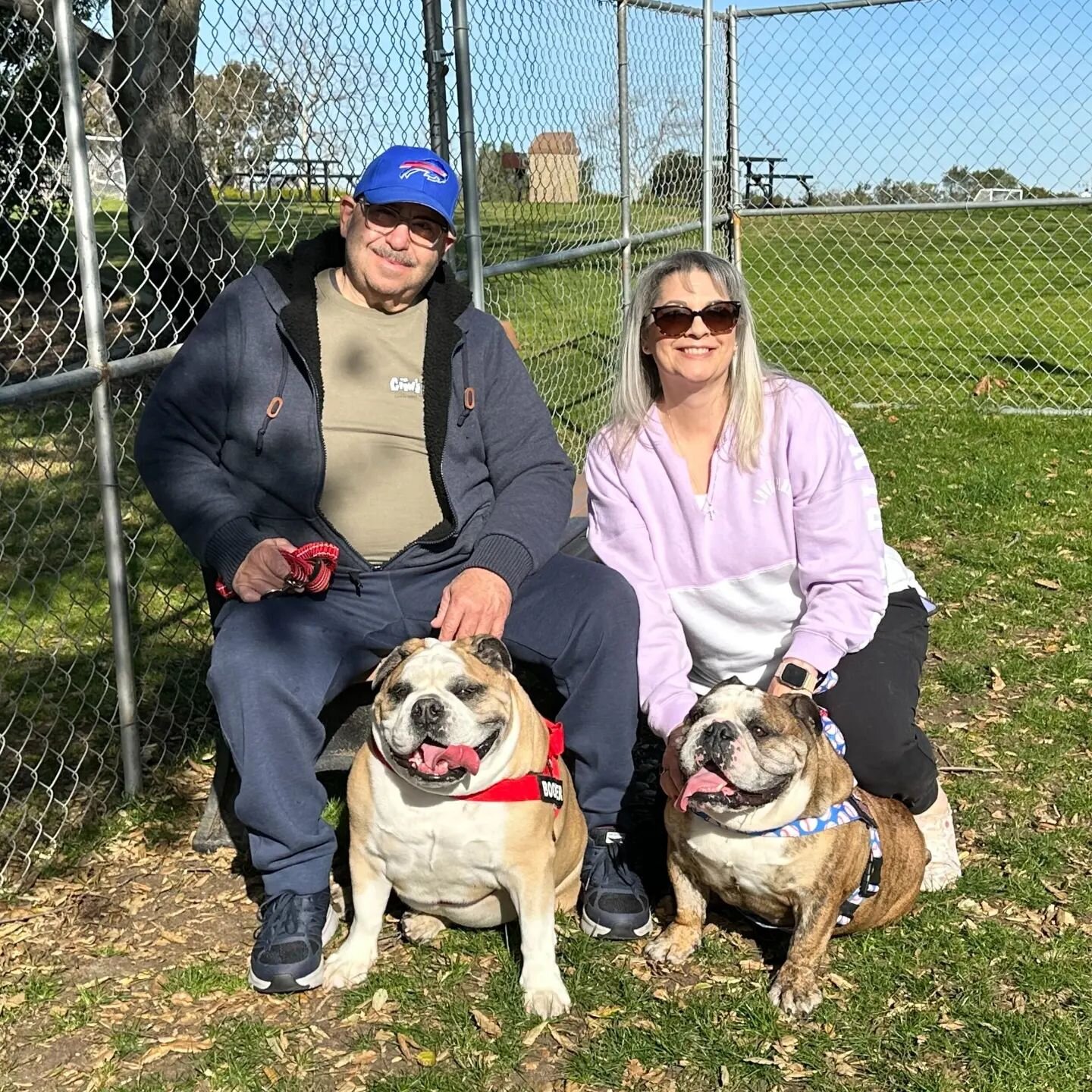 California Bully Rescue