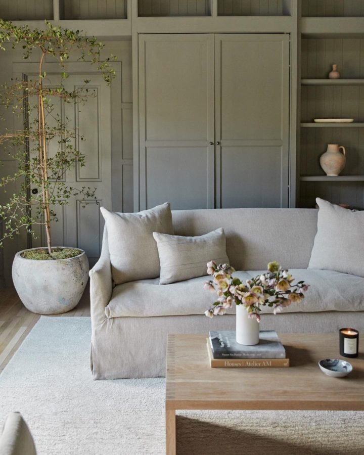 Bringing the OutdoorS In - My Favourite Indoor Trees — Tiffany Leigh Design