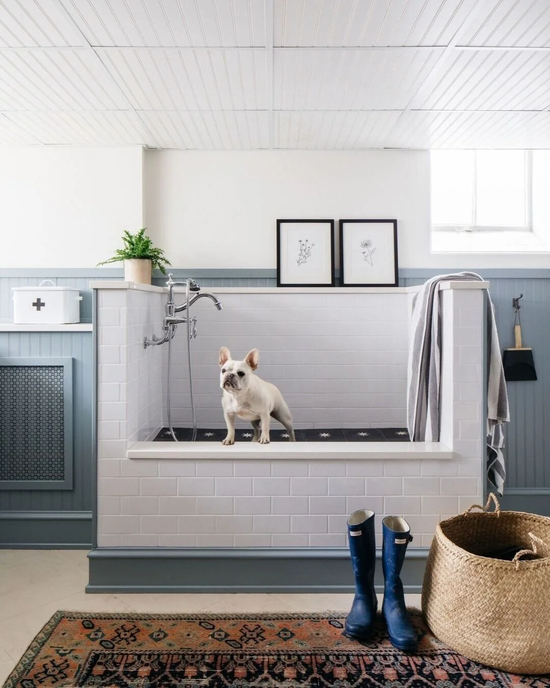 Pet-Friendly Ideas for Design-Savvy Owners — Tiffany Leigh Design