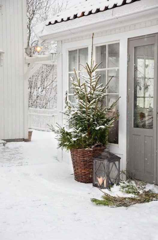 Outdoor Winter Planter Inspiration — Tiffany Leigh Design