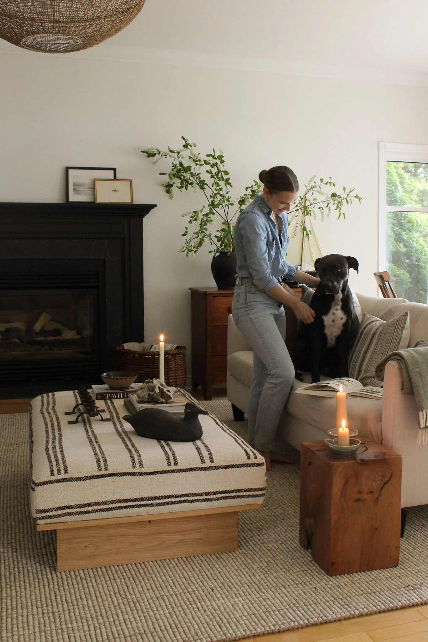 The Updated Pet-Friendly Design Guide — Tiffany Leigh Design