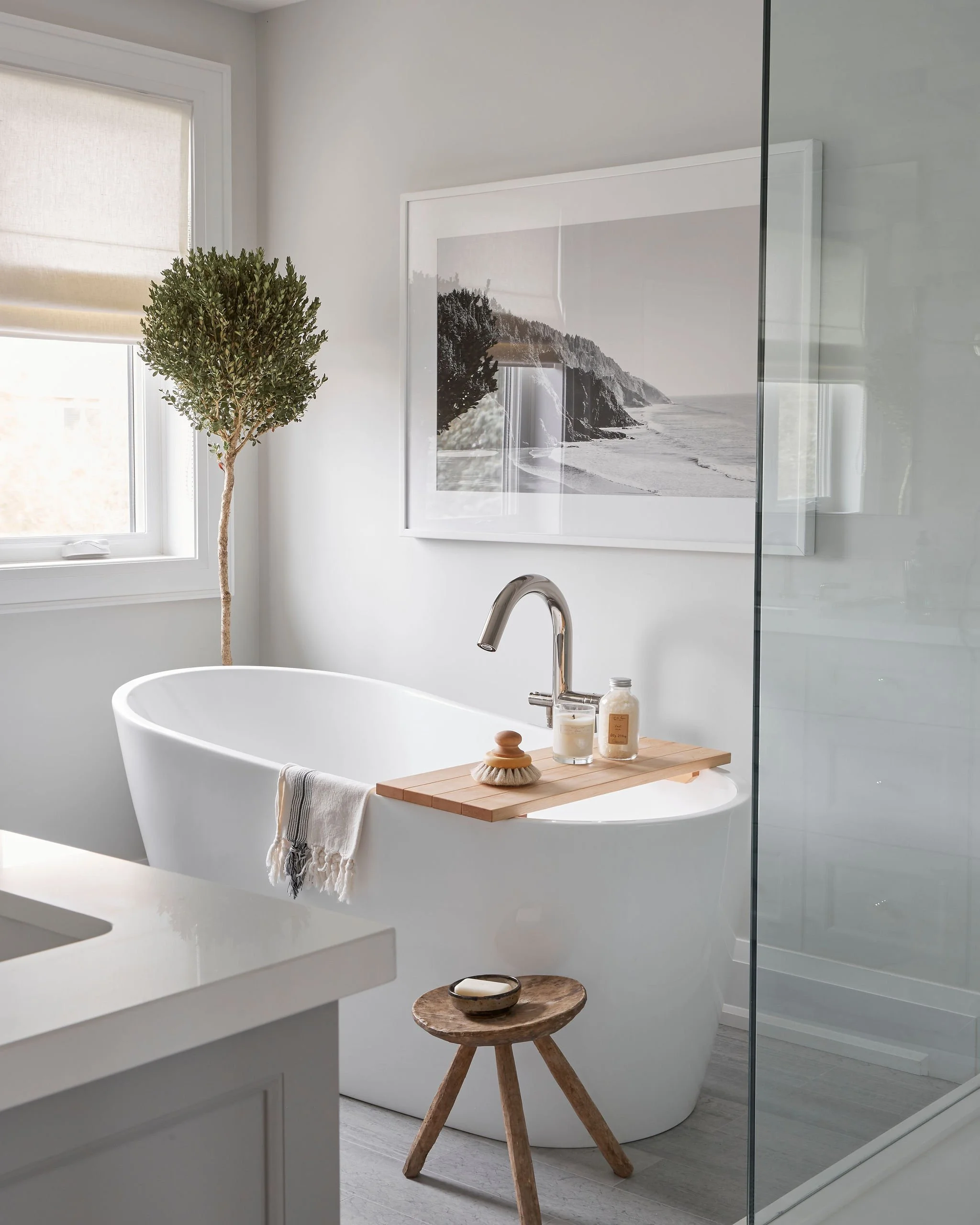 Bringing the OutdoorS In - My Favourite Indoor Trees — Tiffany Leigh Design