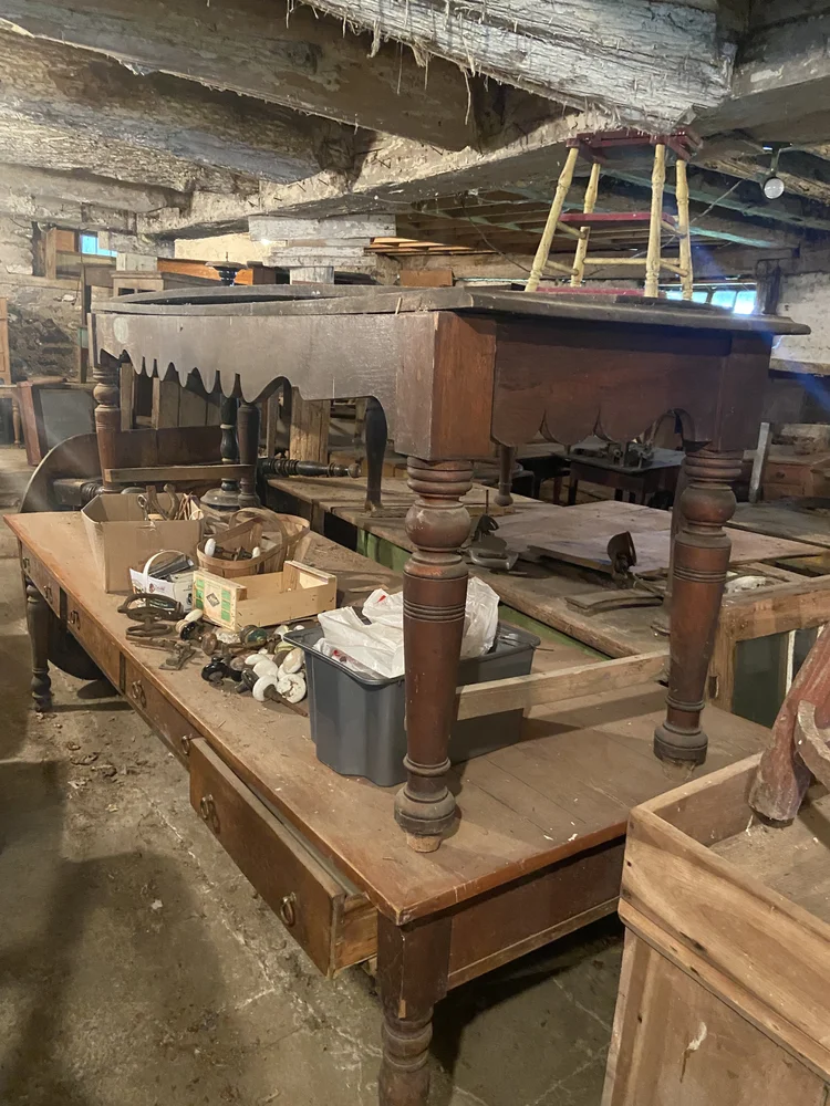 Design Spotlight: Scalloped Edges — Tiffany Leigh Design