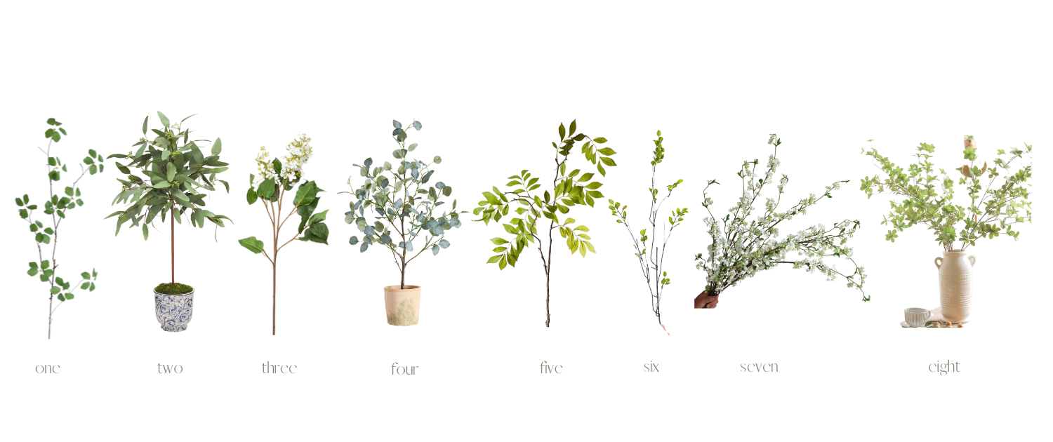 Bringing the OutdoorS In - My Favourite Indoor Trees — Tiffany Leigh Design