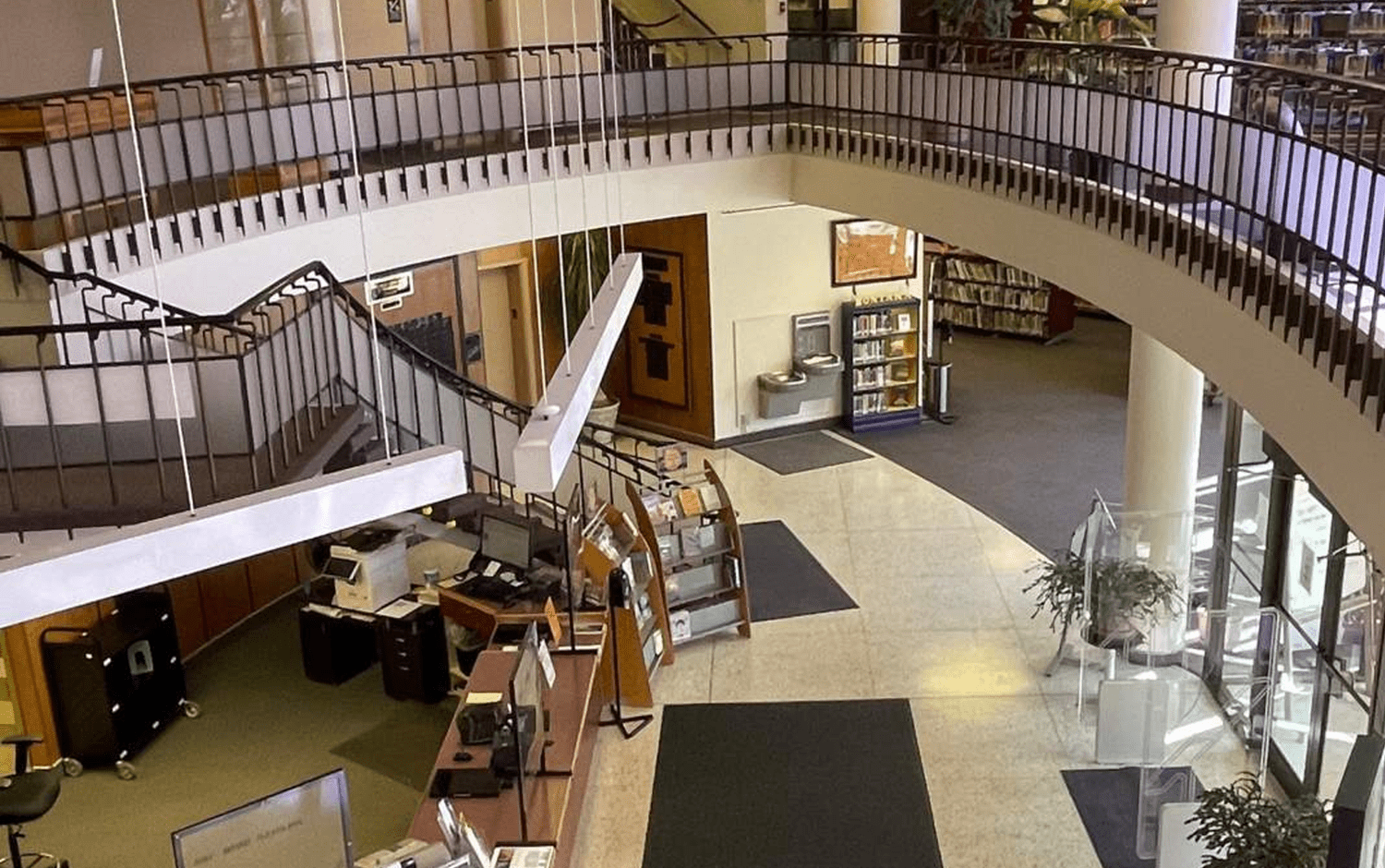 Championing the Library: Supporters Pass a Referendum to Keep Their ...