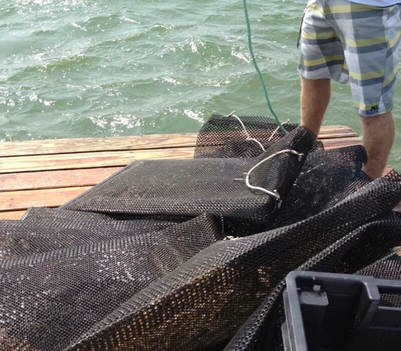 Gallery — Ward Aquafarms