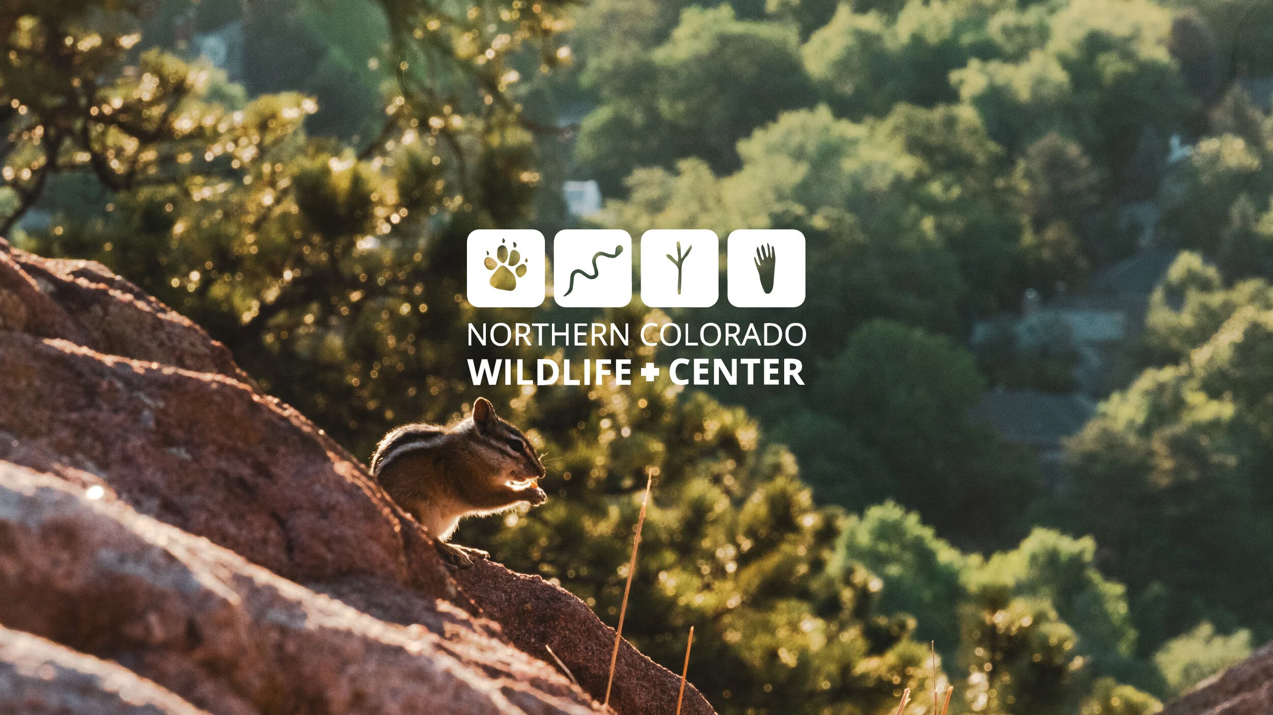 Northern Colorado Wildlife Center