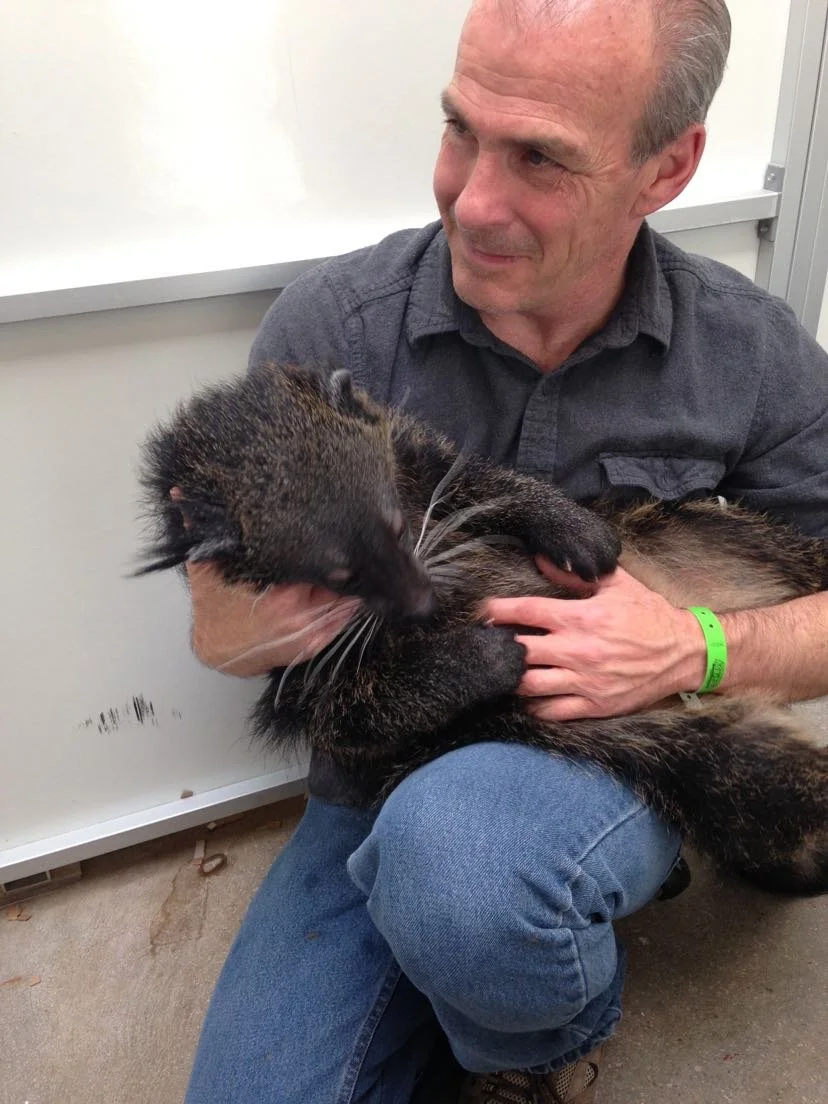 Bob Nightwalker — Northern Colorado Wildlife Center