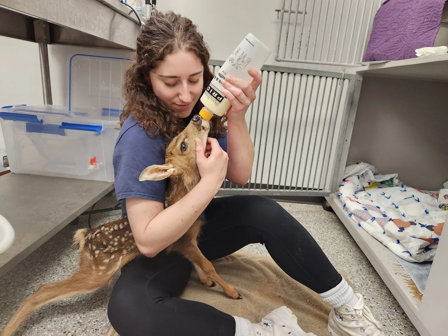 Animal Care Team — Northern Colorado Wildlife Center