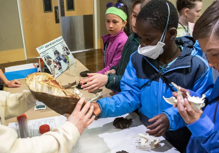Northern Colorado Wildlife Center
