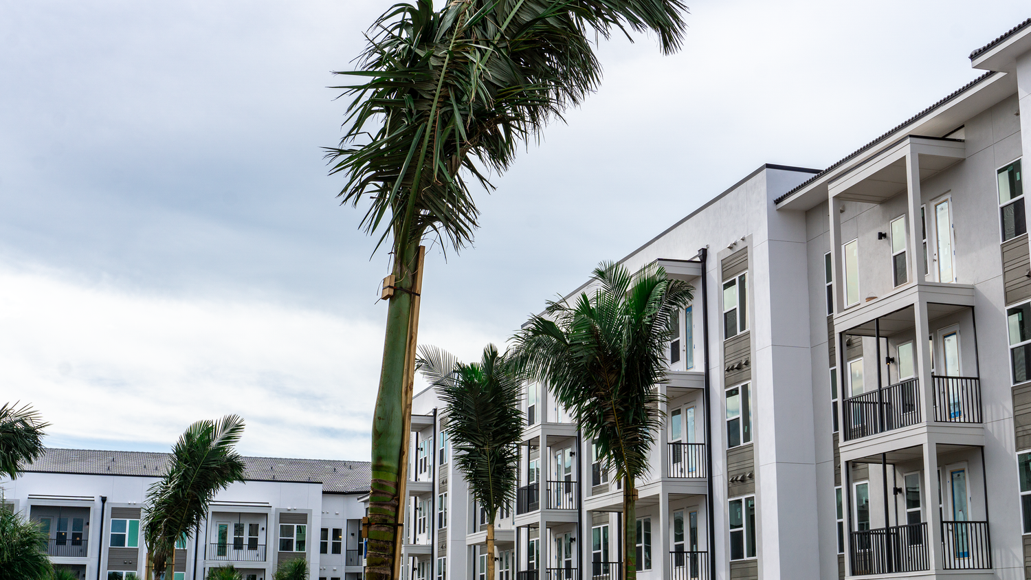 Commercial — WindowWall