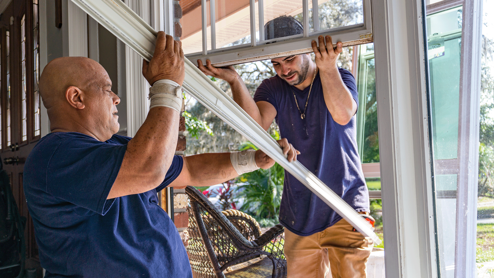 Windows — WindowWall