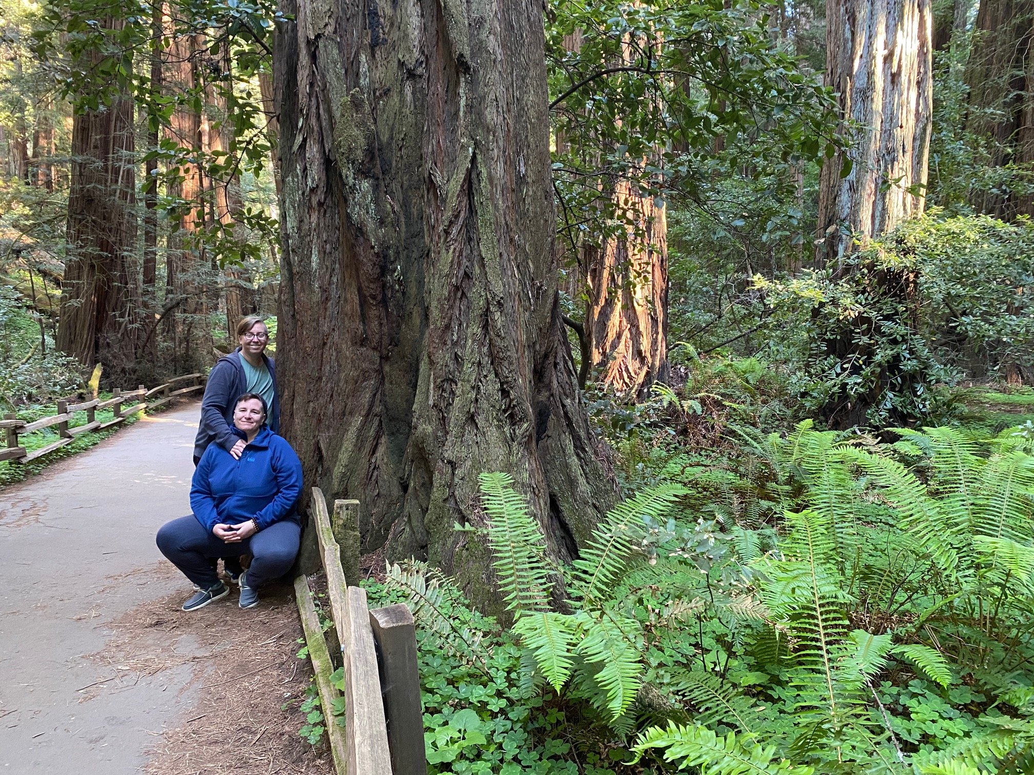 On Being the Buck: Part 2 of A(nother) Brave Leap — Nyck Walsh ...