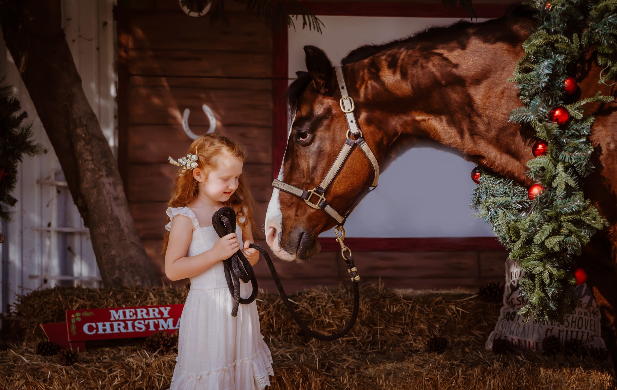 NDR Therapeutic Riding ~ Holiday Portraits — SK Artistry, Photography ...