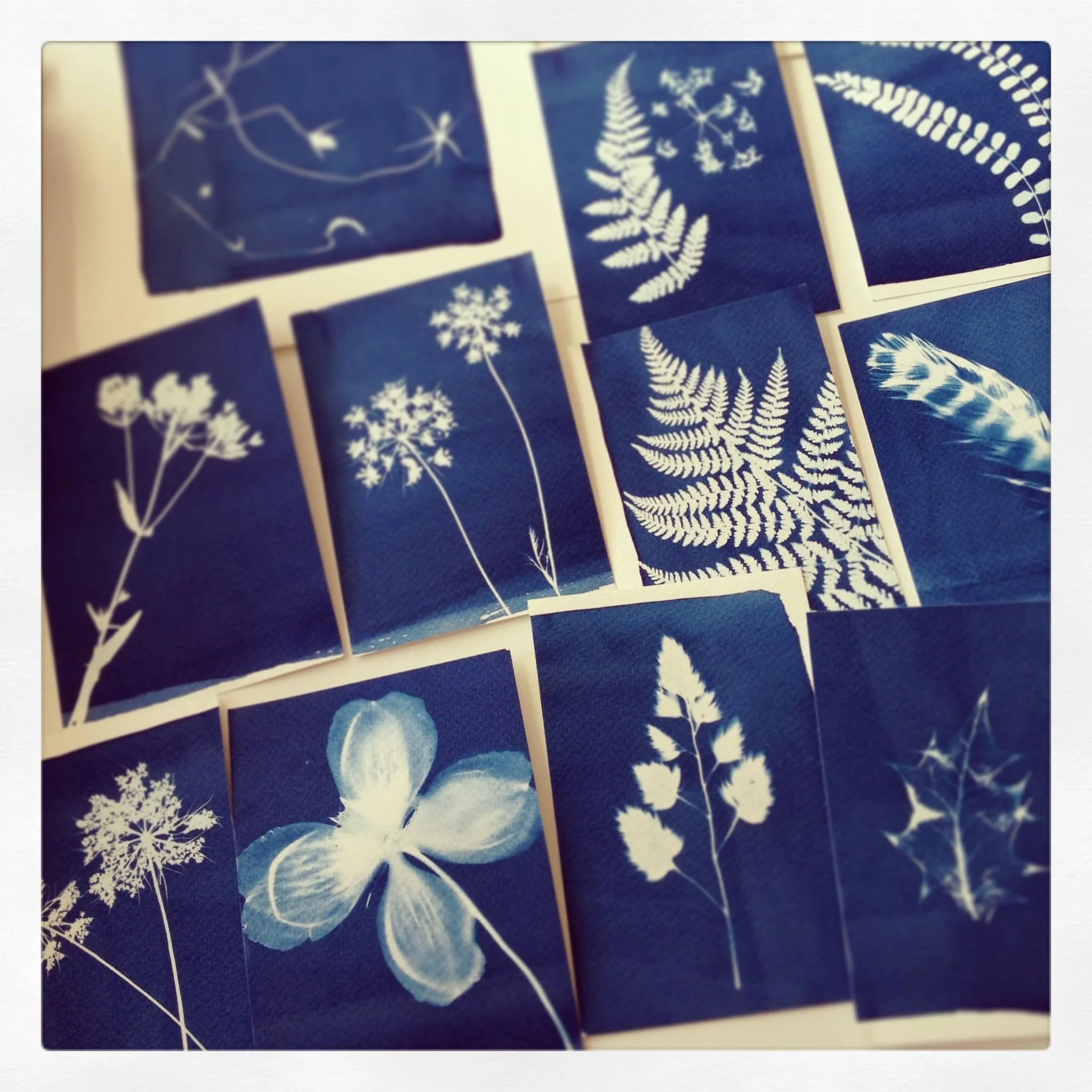 Art & Craft School Workshops — School Workshop Directory