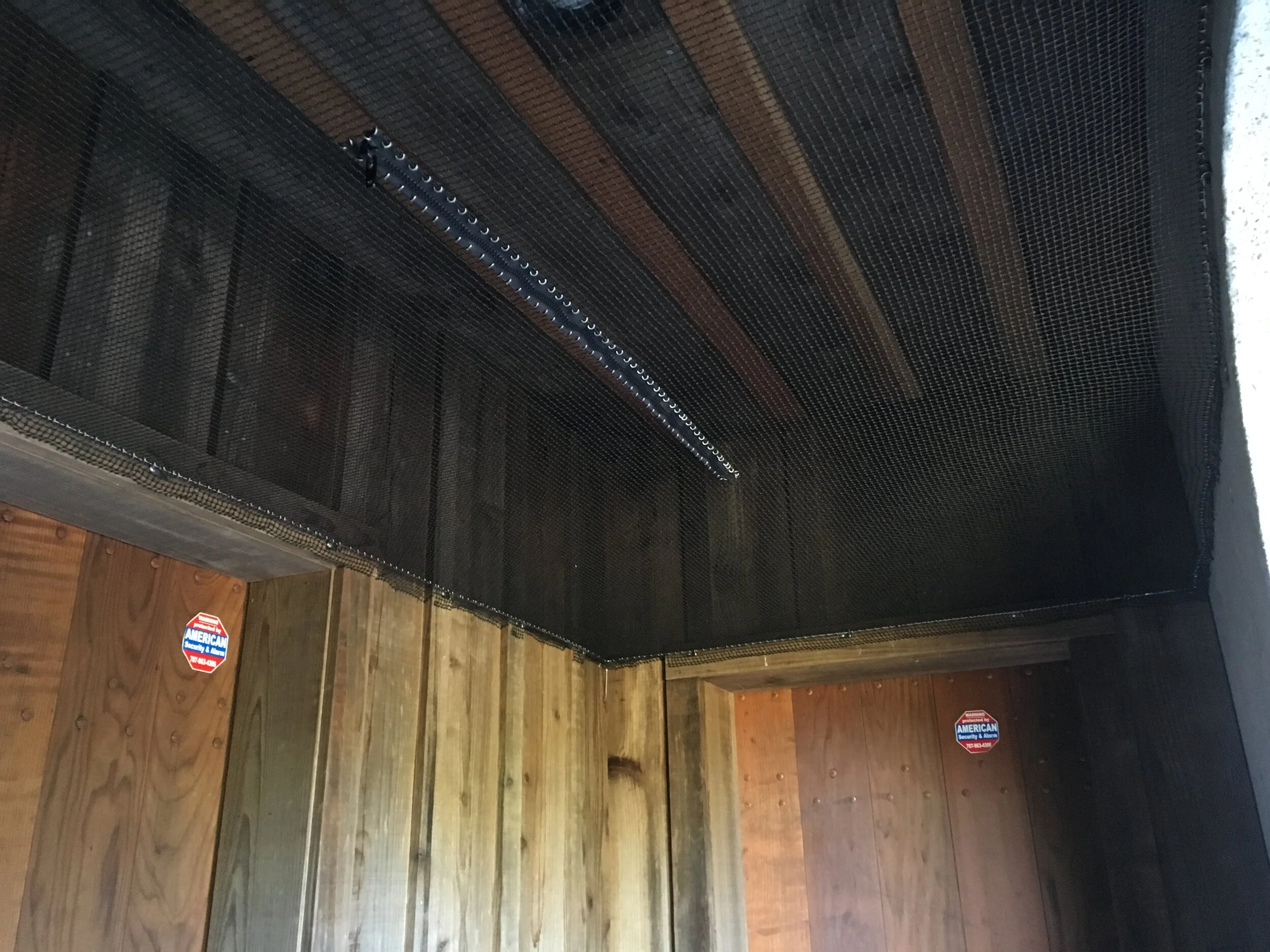 Services — Wildlife Out