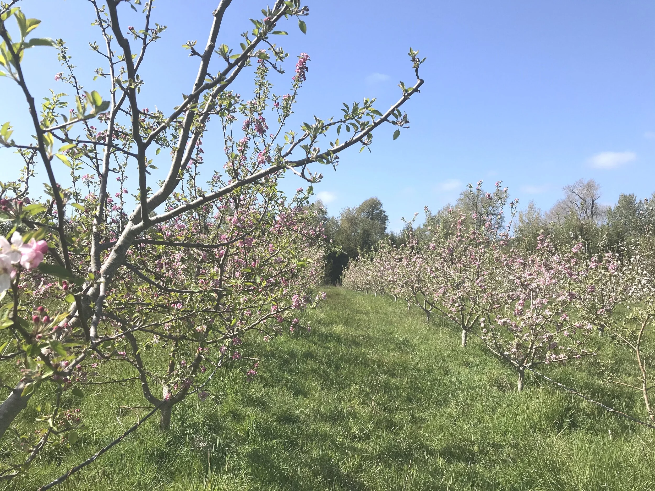 About Us — Crazy River Ranch