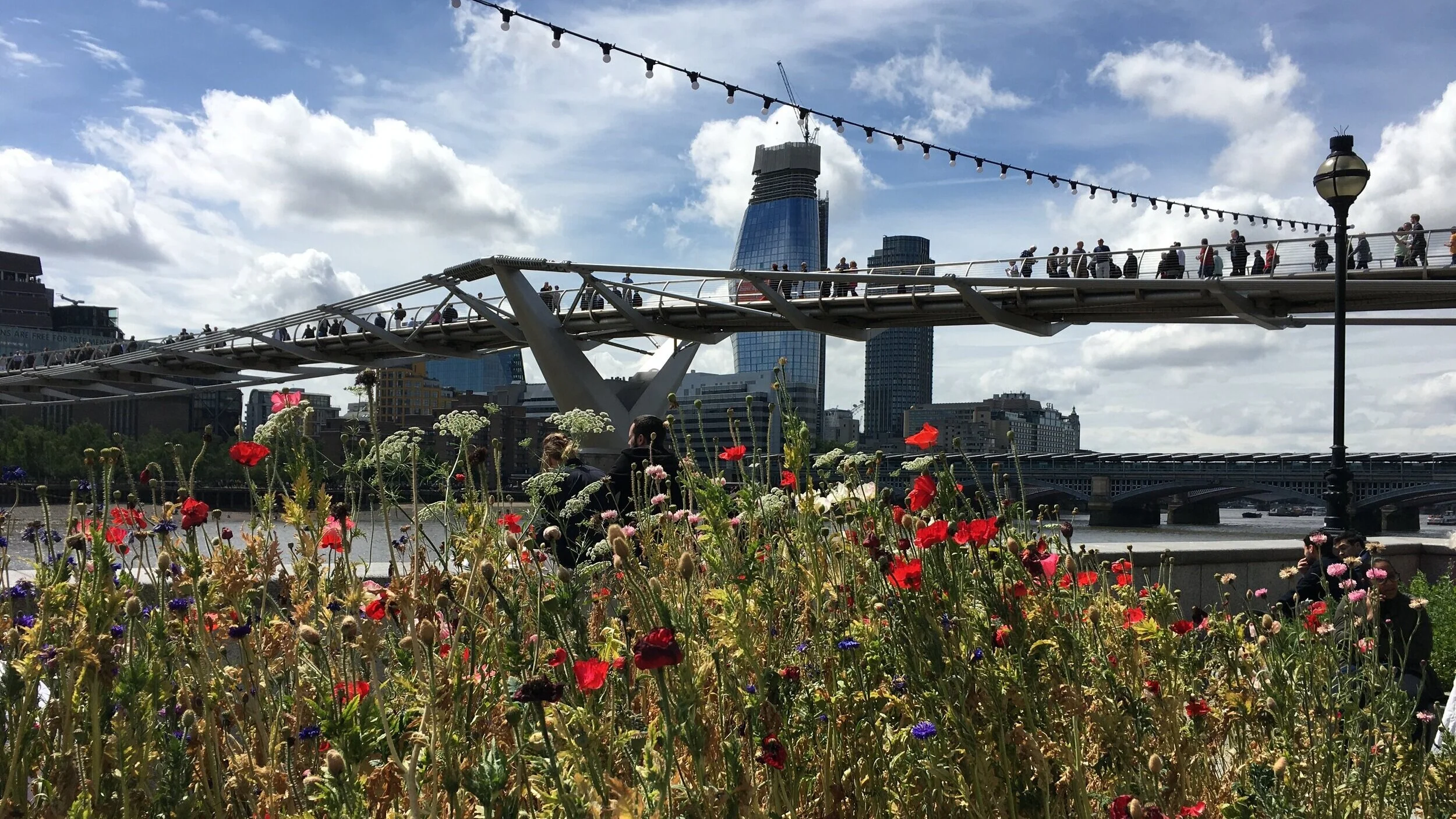 About Open City — Open City