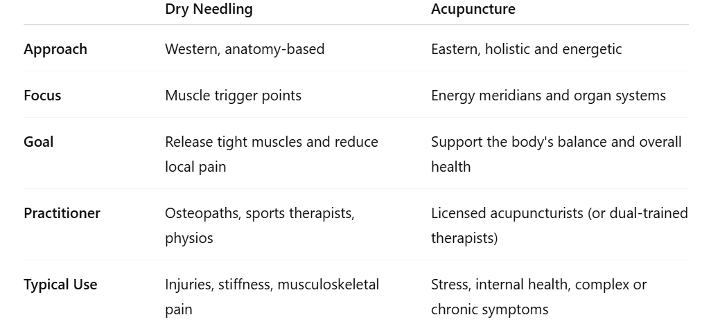 Dry Needling vs Acupuncture: What’s the Difference and Which Is Right for You? — Body Zest- Banstead
