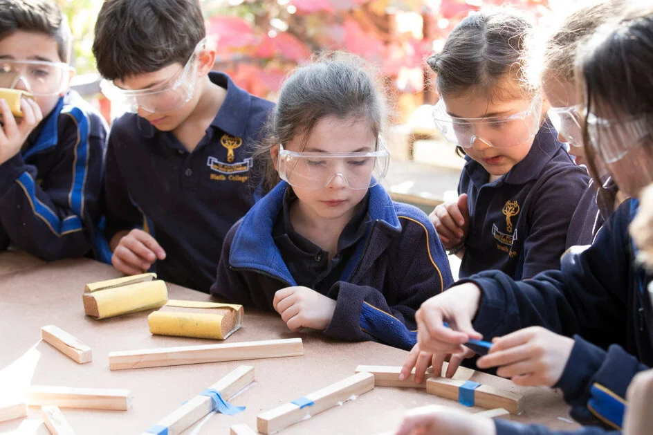 Projects — Bialik College Foundation