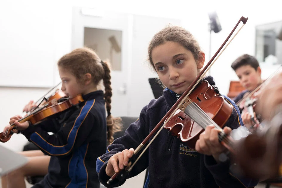 Projects — Bialik College Foundation