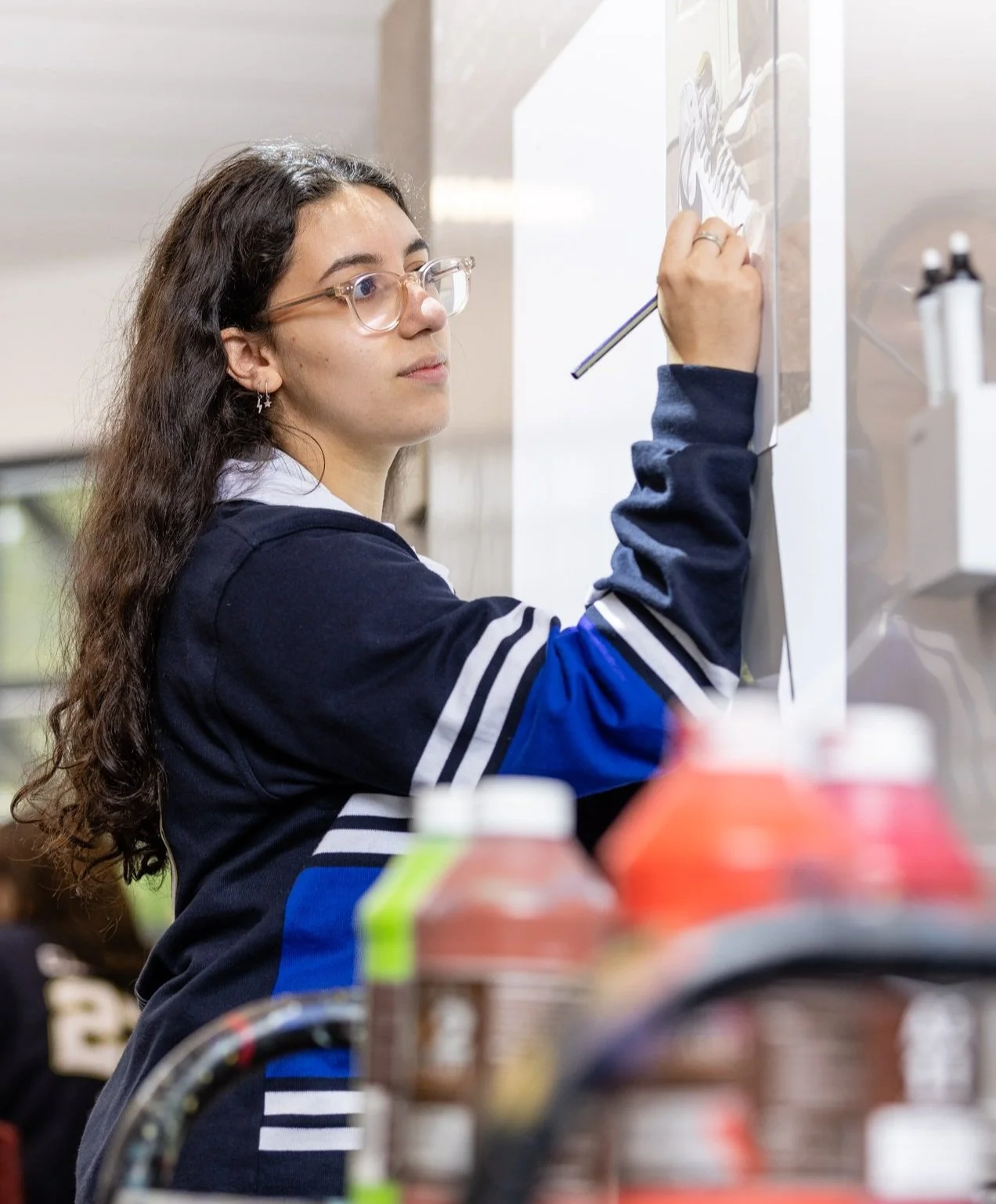 Projects — Bialik College Foundation