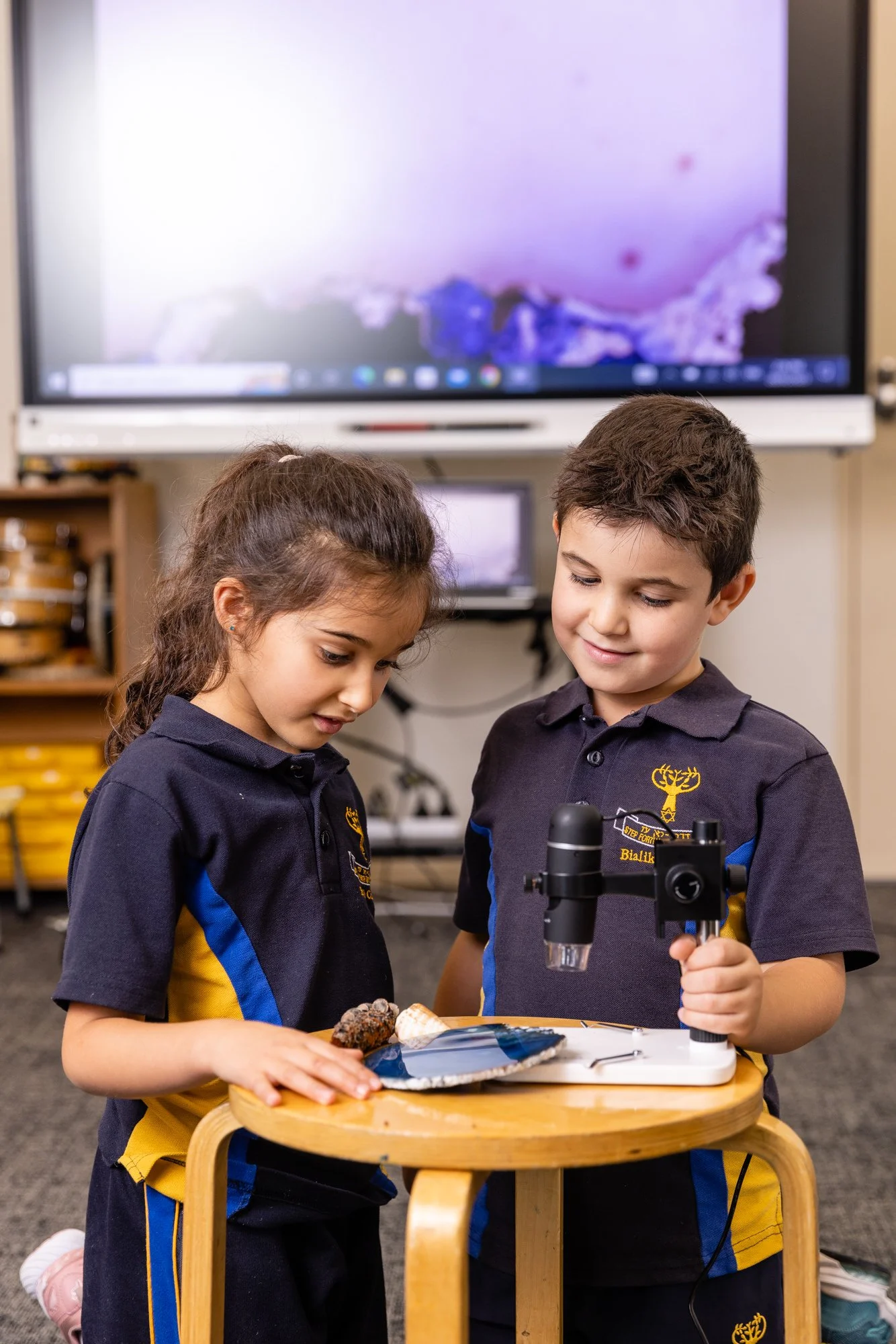 Projects — Bialik College Foundation