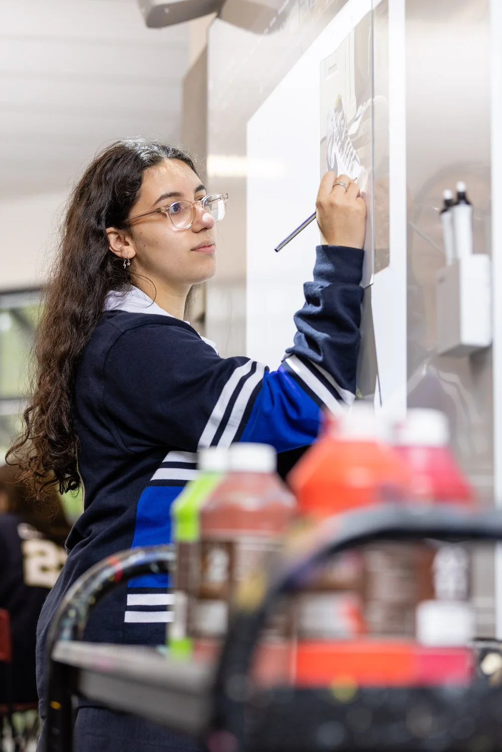 Projects — Bialik College Foundation