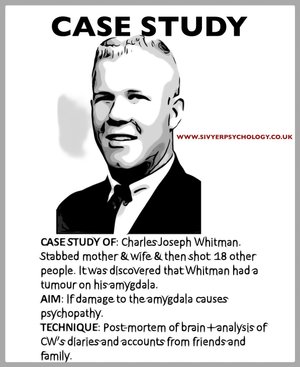 CASE STUDIES — RESEARCH METHODS: Data analysis, descriptive statistics ...