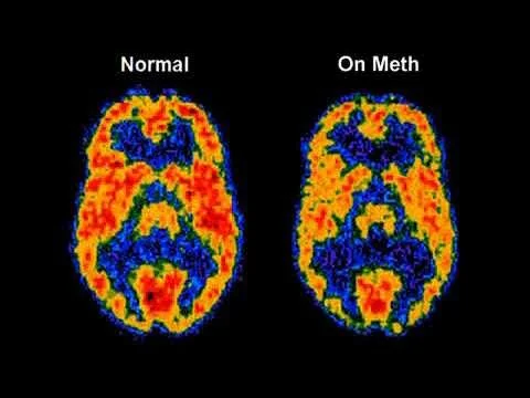 COGNITIVE APPROACH — APPROACHES — PSYCHSTORY