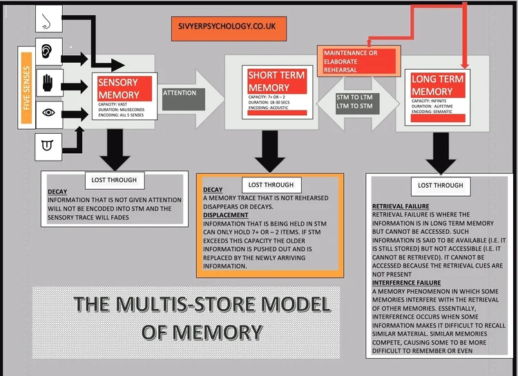 MSM FEATURES OF MEMORY — Blog 1 — PSYCHSTORY