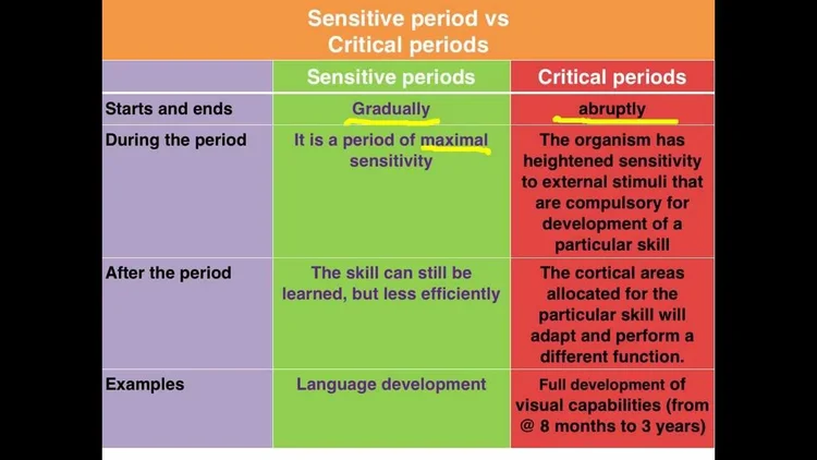BOWLBY’S MONOTROPIC THEORY — DEVELOPMENTAL PSYCHOLOGY — PSYCHSTORY