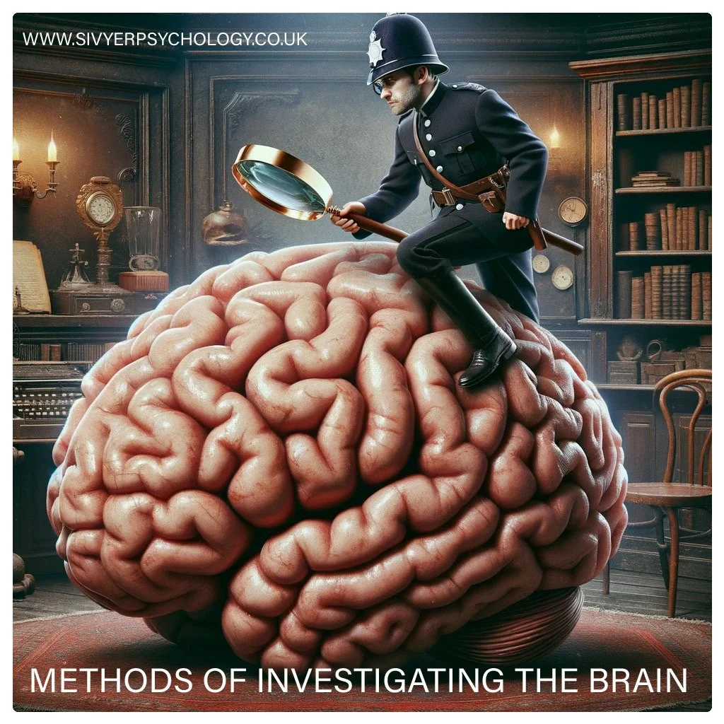 INVESTIGATING THE BRAIN — SIVYER PSYCHOLOGY