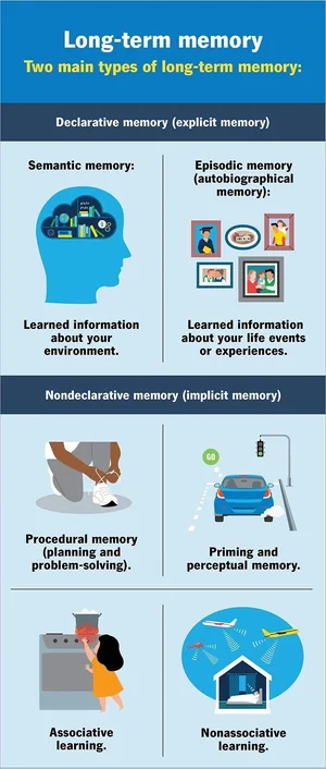 LONG TERM MEMORY — MEMORY | Enhance Memory Skills Today — PSYCHSTORY