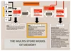 THE MULTISTORE MODEL OF MEMORY — MEMORY — PSYCHSTORY