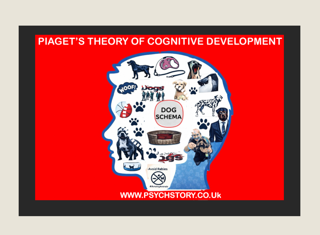 PIAGET’S THEORY OF COGNITIVE DEVELOPMENT — COGNITION AND THINKING ...