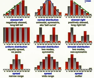 DESCRIPTIVE STATISTICS IN PSYCHOLOGY — SIVYER PSYCHOLOGY