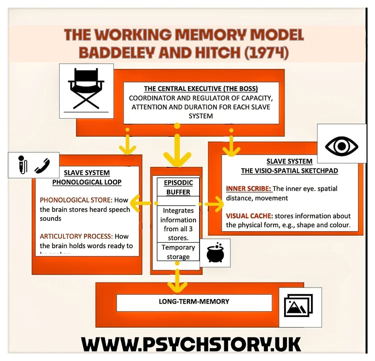 THE WORKING MODEL OF MEMORY — MEMORY | Enhance Memory Skills Today ...