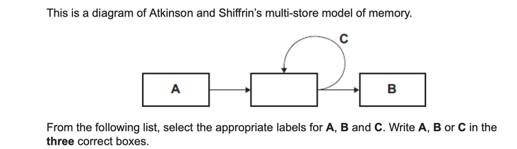 THE MULTISTORE MODEL OF MEMORY — MEMORY | Enhance Memory Skills Today ...