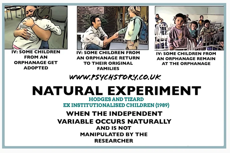The Experimental Method A-level Psychology | True Experiments Explained ...