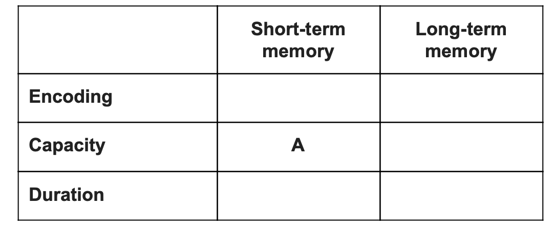 THE MULTISTORE MODEL OF MEMORY — SIVYER PSYCHOLOGY